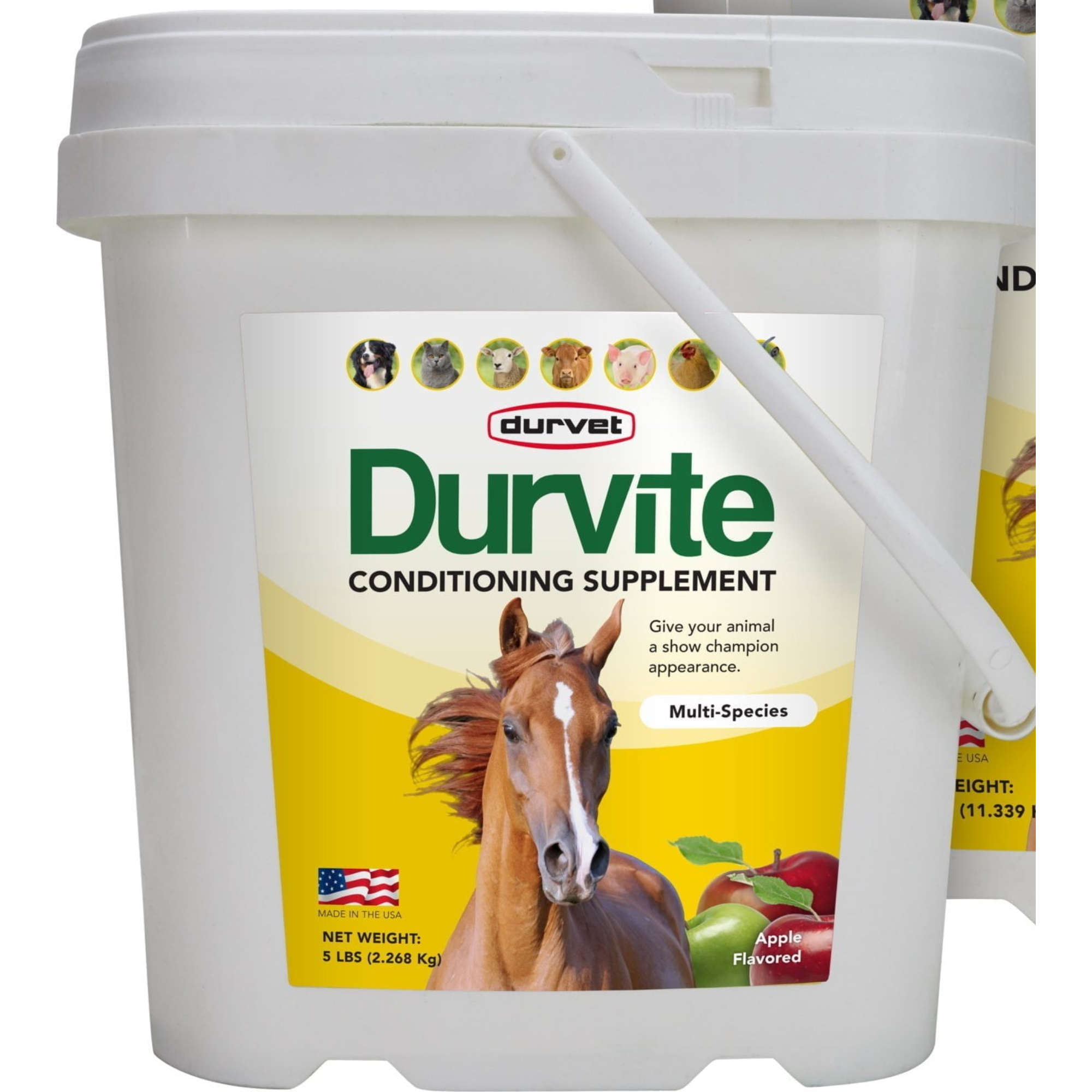 Durvet Durvite | Multi-Species Amino Acid, Omega 3 & Vitamin Supplemen ...